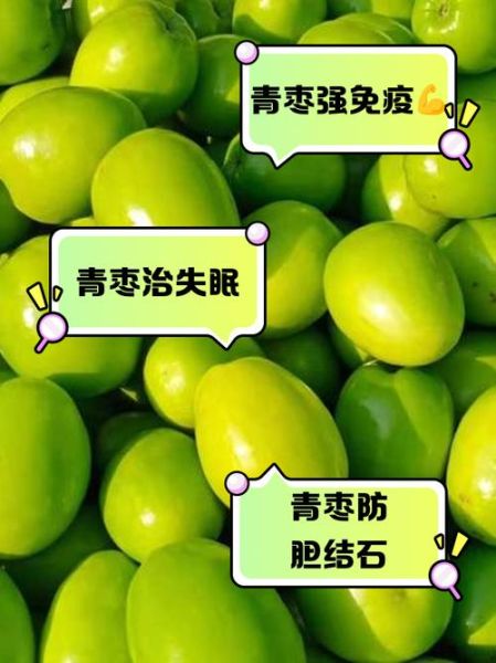 青枣的功效与作用_青枣上火还是降火-第3张图片-山城妙识 青枣的功效与作用_青枣上火还是降火-第3张图片-山城妙识