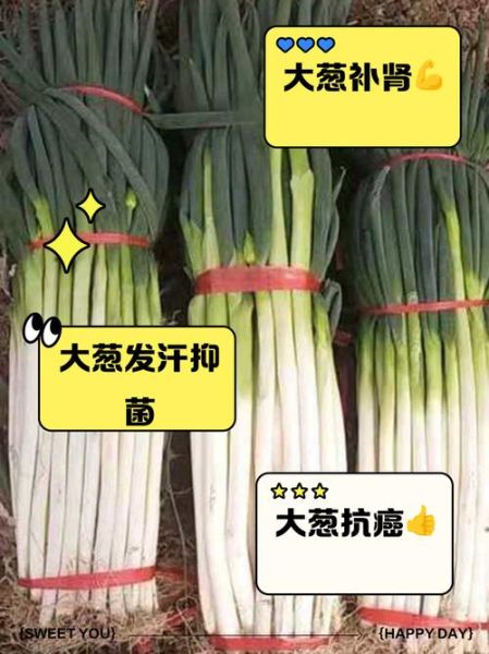 男人吃大葱壮阳吗_大葱对男性有哪些好处-第1张图片-山城妙识
