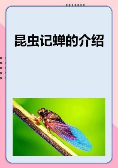 蝉的生命周期有多长_蝉为什么要等17年才出土-第2张图片-山城妙识