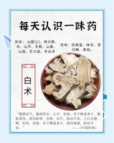 白术的美容功效与作用_白术能祛斑吗-第1张图片-山城妙识