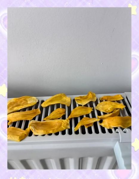 菠萝蜜干怎么做_家庭烤箱版详细步骤-第1张图片-山城妙识