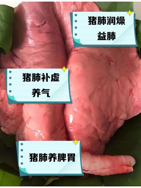 猪肺能吃吗_猪肺的危害有哪些-第1张图片-山城妙识 猪肺能吃吗_猪肺的危害有哪些-第1张图片-山城妙识