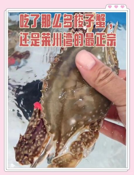 海螃蟹蒸多长时间_海蟹蒸多久最佳口感-第2张图片-山城妙识 海螃蟹蒸多长时间_海蟹蒸多久最佳口感-第2张图片-山城妙识