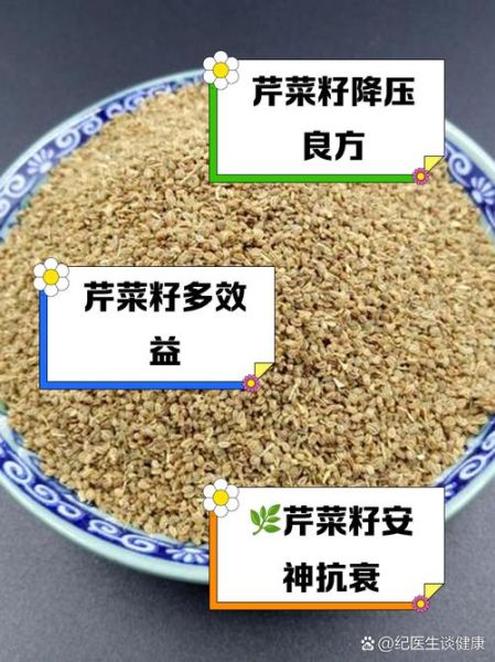 芹菜籽降尿酸有用吗_芹菜籽降尿酸怎么吃-第2张图片-山城妙识 芹菜籽降尿酸有用吗_芹菜籽降尿酸怎么吃-第2张图片-山城妙识