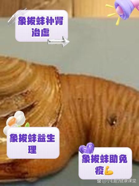 象拔蚌写作有没有人用过_象拔蚌写作效果怎么样-第2张图片-山城妙识