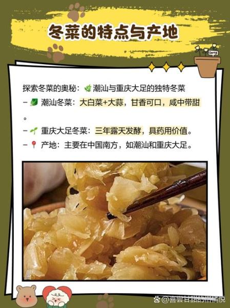 吃冬菜的危害有哪些_冬菜吃多了会怎么样-第1张图片-山城妙识