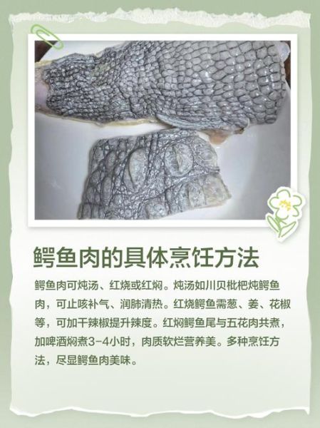 红烧鳄鱼肉怎么做_红烧鳄鱼肉的做法步骤图-第1张图片-山城妙识