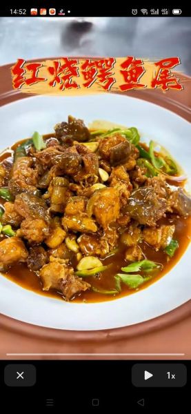 红烧鳄鱼肉怎么做_红烧鳄鱼肉的做法步骤图-第2张图片-山城妙识