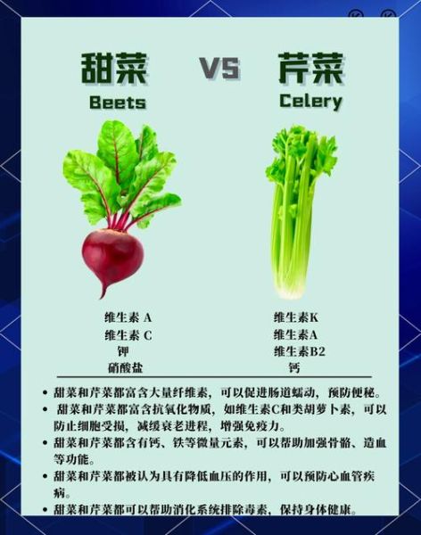 南方的甜菜是什么菜_甜菜和糖用甜菜区别-第1张图片-山城妙识 南方的甜菜是什么菜_甜菜和糖用甜菜区别-第1张图片-山城妙识