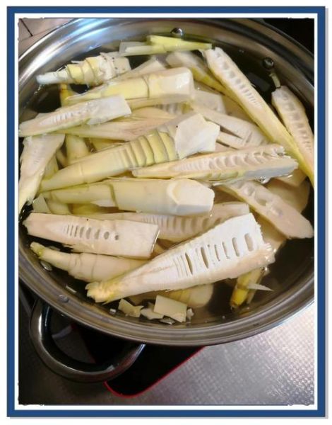 新鲜竹笋怎么处理好吃_竹笋去涩味最快的方法-第1张图片-山城妙识 新鲜竹笋怎么处理好吃_竹笋去涩味最快的方法-第1张图片-山城妙识