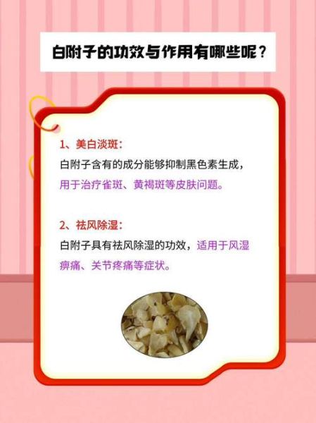 白附子有毒吗_白附子用量多少克-第1张图片-山城妙识