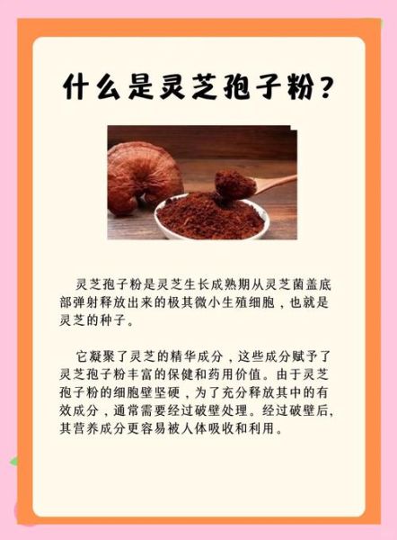 孢子粉的功效与作用及禁忌_孢子粉什么人不能吃-第2张图片-山城妙识