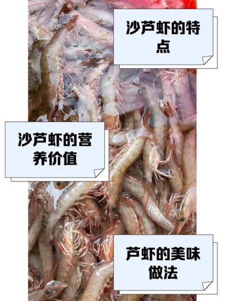 芦虾是什么_芦虾和基围虾的区别-第1张图片-山城妙识 芦虾是什么_芦虾和基围虾的区别-第1张图片-山城妙识