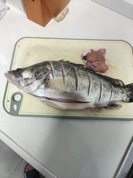 桂鱼图片大全_桂鱼长什么样-第3张图片-山城妙识 桂鱼图片大全_桂鱼长什么样-第3张图片-山城妙识