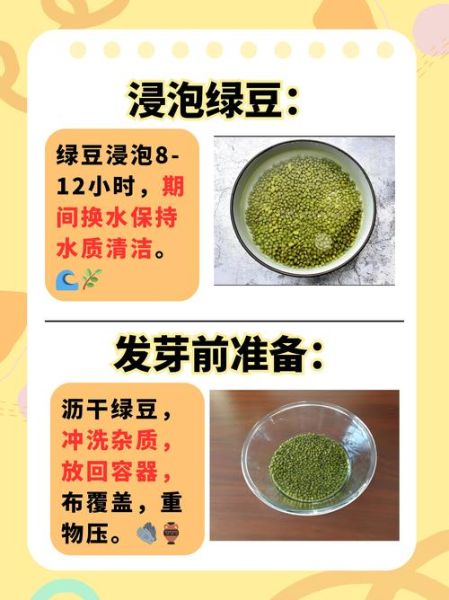 自发豆芽的做法_家庭自发豆芽失败原因-第3张图片-山城妙识 自发豆芽的做法_家庭自发豆芽失败原因-第3张图片-山城妙识