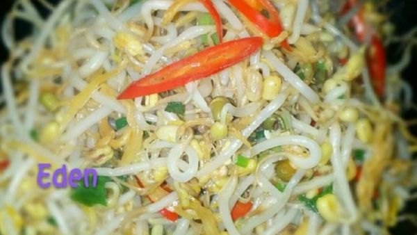 自发豆芽的做法_家庭自发豆芽失败原因-第2张图片-山城妙识 自发豆芽的做法_家庭自发豆芽失败原因-第2张图片-山城妙识