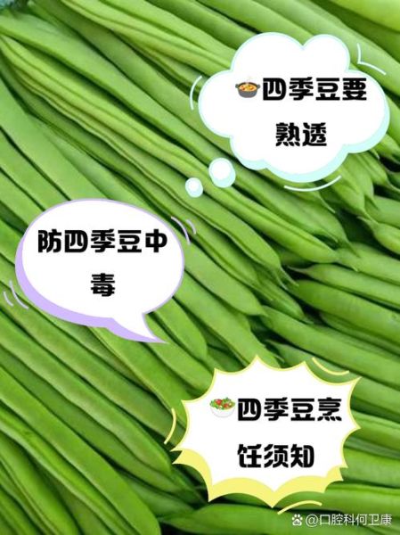 四季豆没炒熟中毒症状_多久会出现-第1张图片-山城妙识 四季豆没炒熟中毒症状_多久会出现-第1张图片-山城妙识