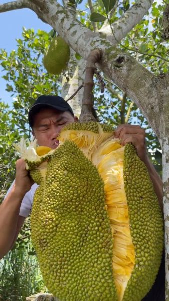 菠萝蜜视频国际加速通道怎么用_海外访问卡顿怎么办-第1张图片-山城妙识 菠萝蜜视频国际加速通道怎么用_海外访问卡顿怎么办-第1张图片-山城妙识