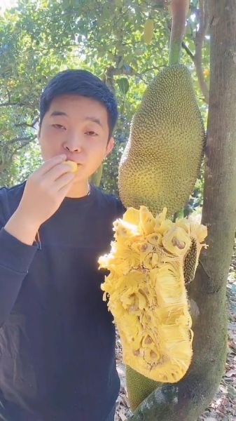 菠萝蜜视频国际加速通道怎么用_海外访问卡顿怎么办-第3张图片-山城妙识 菠萝蜜视频国际加速通道怎么用_海外访问卡顿怎么办-第3张图片-山城妙识