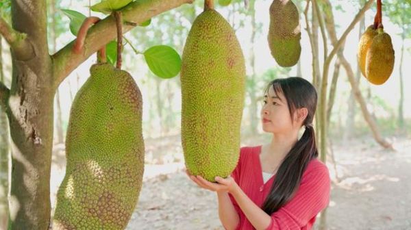 菠萝蜜视频国际加速通道怎么用_海外访问卡顿怎么办-第2张图片-山城妙识 菠萝蜜视频国际加速通道怎么用_海外访问卡顿怎么办-第2张图片-山城妙识