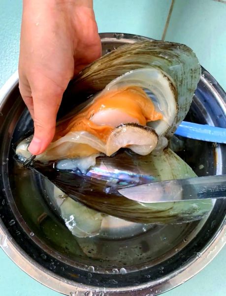 贝类海鲜怎么清洗_贝类海鲜的做法大全窍门-第3张图片-山城妙识 贝类海鲜怎么清洗_贝类海鲜的做法大全窍门-第3张图片-山城妙识