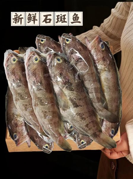 清蒸石斑鱼怎么做好吃又简单_清蒸石斑鱼的家常做法-第1张图片-山城妙识 清蒸石斑鱼怎么做好吃又简单_清蒸石斑鱼的家常做法-第1张图片-山城妙识