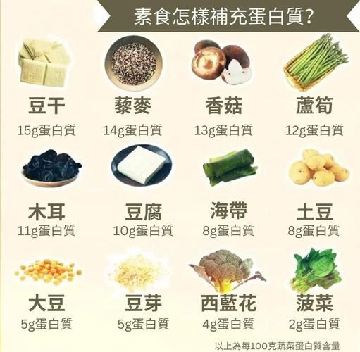 素食者如何补充蛋白质_素食者一天吃多少蛋白质-第3张图片-山城妙识
