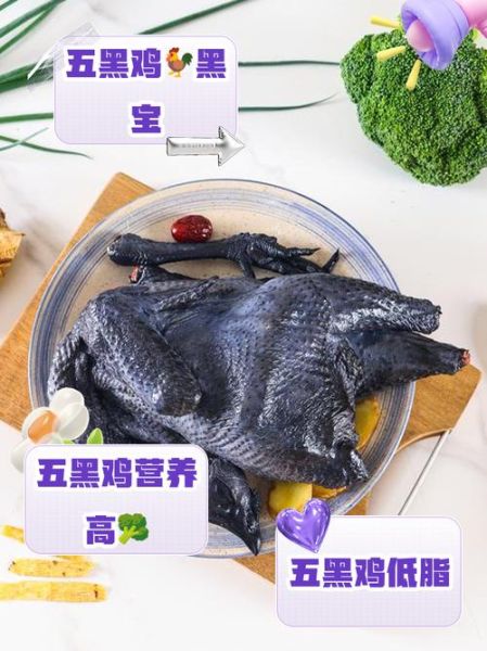 五黑鸡和乌鸡哪个更好_五黑鸡与乌鸡营养功效对比-第1张图片-山城妙识 五黑鸡和乌鸡哪个更好_五黑鸡与乌鸡营养功效对比-第1张图片-山城妙识