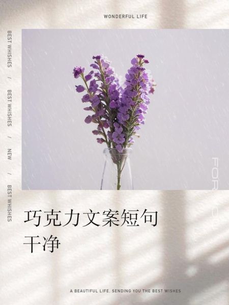 朋友圈晒巧克力配什么文案_巧克力拍照怎么写文案-第1张图片-山城妙识