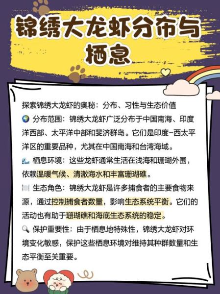 锦绣龙虾多少钱一斤_锦绣龙虾怎么挑选-第1张图片-山城妙识 锦绣龙虾多少钱一斤_锦绣龙虾怎么挑选-第1张图片-山城妙识