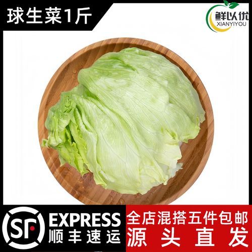 圆生菜和包菜是一个菜吗_区别与选购指南-第1张图片-山城妙识 圆生菜和包菜是一个菜吗_区别与选购指南-第1张图片-山城妙识