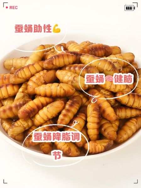 雄蚕蛹的功效与作用_雄蚕蛹怎么吃效果最好-第2张图片-山城妙识