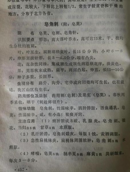 皂角刺怎么外用_皂角刺泡酒配方-第3张图片-山城妙识 皂角刺怎么外用_皂角刺泡酒配方-第3张图片-山城妙识