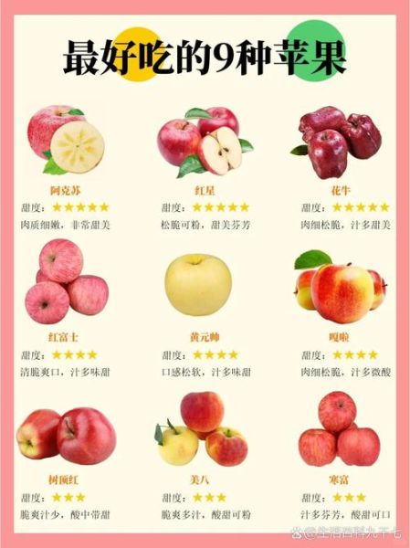 苹果的种类有哪些_常见品种口感区别-第1张图片-山城妙识