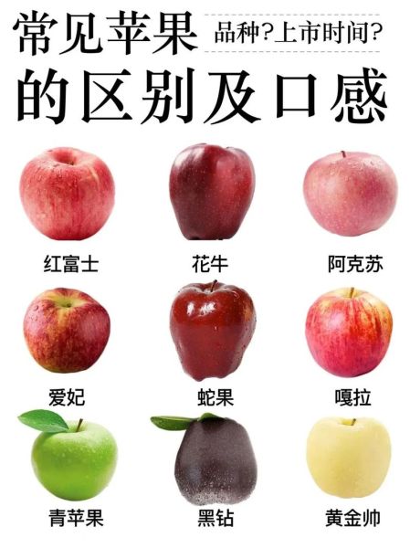 苹果的种类有哪些_常见品种口感区别-第2张图片-山城妙识