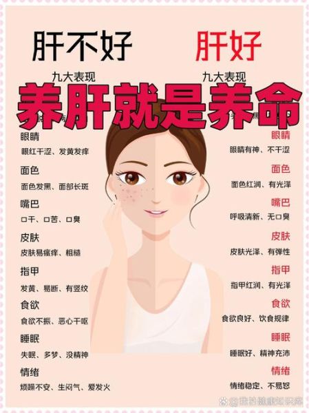 肝不好有什么症状_肝不好的早期表现有哪些-第3张图片-山城妙识 肝不好有什么症状_肝不好的早期表现有哪些-第3张图片-山城妙识