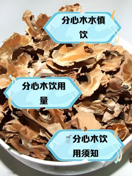 分心木泡水喝的功效和禁忌_分心木泡水喝的正确方法-第1张图片-山城妙识 分心木泡水喝的功效和禁忌_分心木泡水喝的正确方法-第1张图片-山城妙识