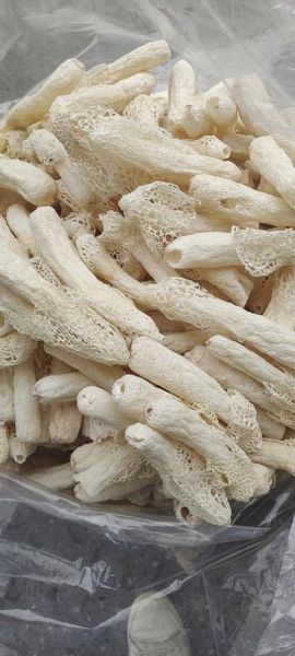 竹荪怎么读_竹荪的正确发音与吃法-第1张图片-山城妙识