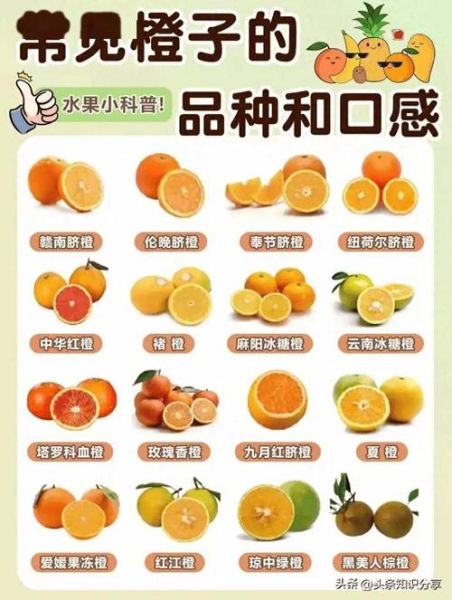 橙子怎么挑选_橙子图片水果营养价值-第3张图片-山城妙识 橙子怎么挑选_橙子图片水果营养价值-第3张图片-山城妙识