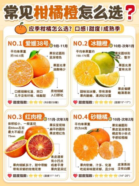 橙子怎么挑选_橙子图片水果营养价值-第1张图片-山城妙识 橙子怎么挑选_橙子图片水果营养价值-第1张图片-山城妙识