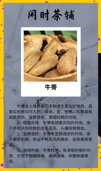 牛蒡根的功效与作用及禁忌_什么人不能吃牛蒡根-第2张图片-山城妙识 牛蒡根的功效与作用及禁忌_什么人不能吃牛蒡根-第2张图片-山城妙识