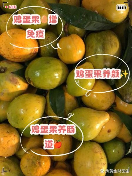 鸡蛋果长什么样_鸡蛋果怎么吃-第1张图片-山城妙识