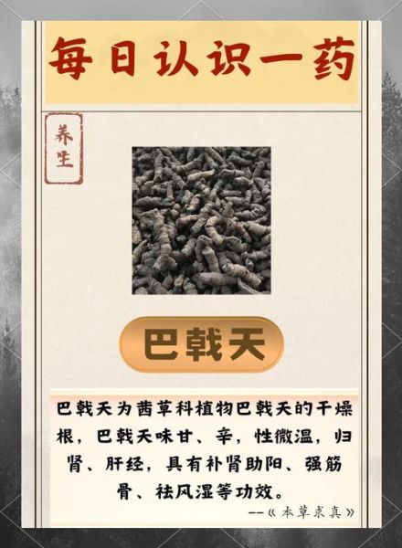 巴戟天图片功效与作用_巴戟天适合什么人吃-第2张图片-山城妙识 巴戟天图片功效与作用_巴戟天适合什么人吃-第2张图片-山城妙识