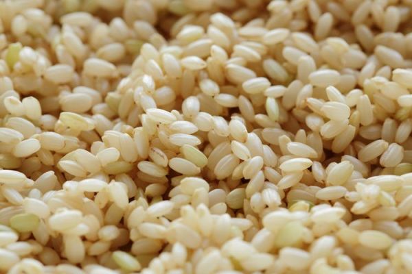 江米泡多久才能包粽子_江米泡几天合适-第2张图片-山城妙识