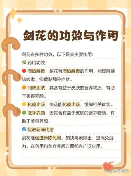 剑花有什么功效与作用_剑花煲汤禁忌-第1张图片-山城妙识