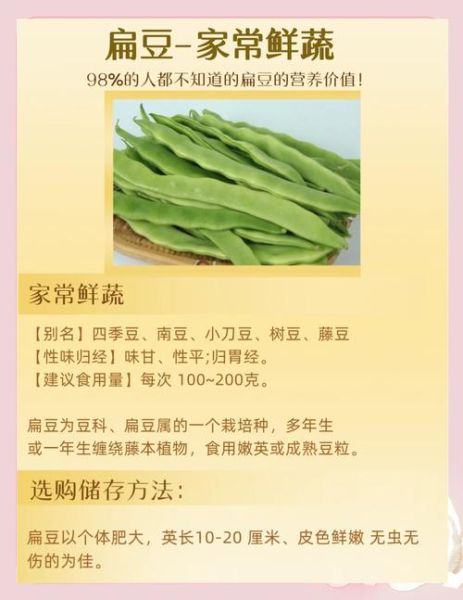 扁豆哪些人不能吃_扁豆中毒的高危人群-第1张图片-山城妙识