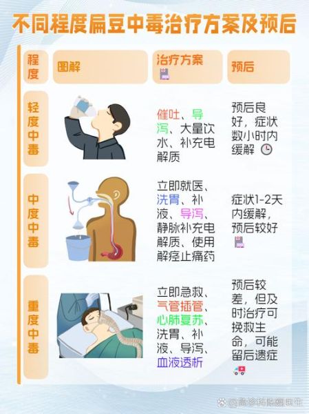 扁豆哪些人不能吃_扁豆中毒的高危人群-第3张图片-山城妙识