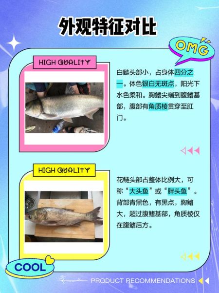 花鲢和胖头鱼一样吗_花鲢胖头鱼区别-第3张图片-山城妙识