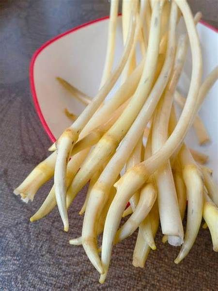 藕带的功效与作用_藕带能减肥吗-第1张图片-山城妙识