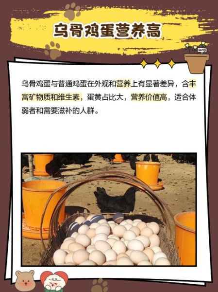 乌鸡蛋价格多少钱一斤_乌鸡蛋为什么这么贵-第2张图片-山城妙识 乌鸡蛋价格多少钱一斤_乌鸡蛋为什么这么贵-第2张图片-山城妙识